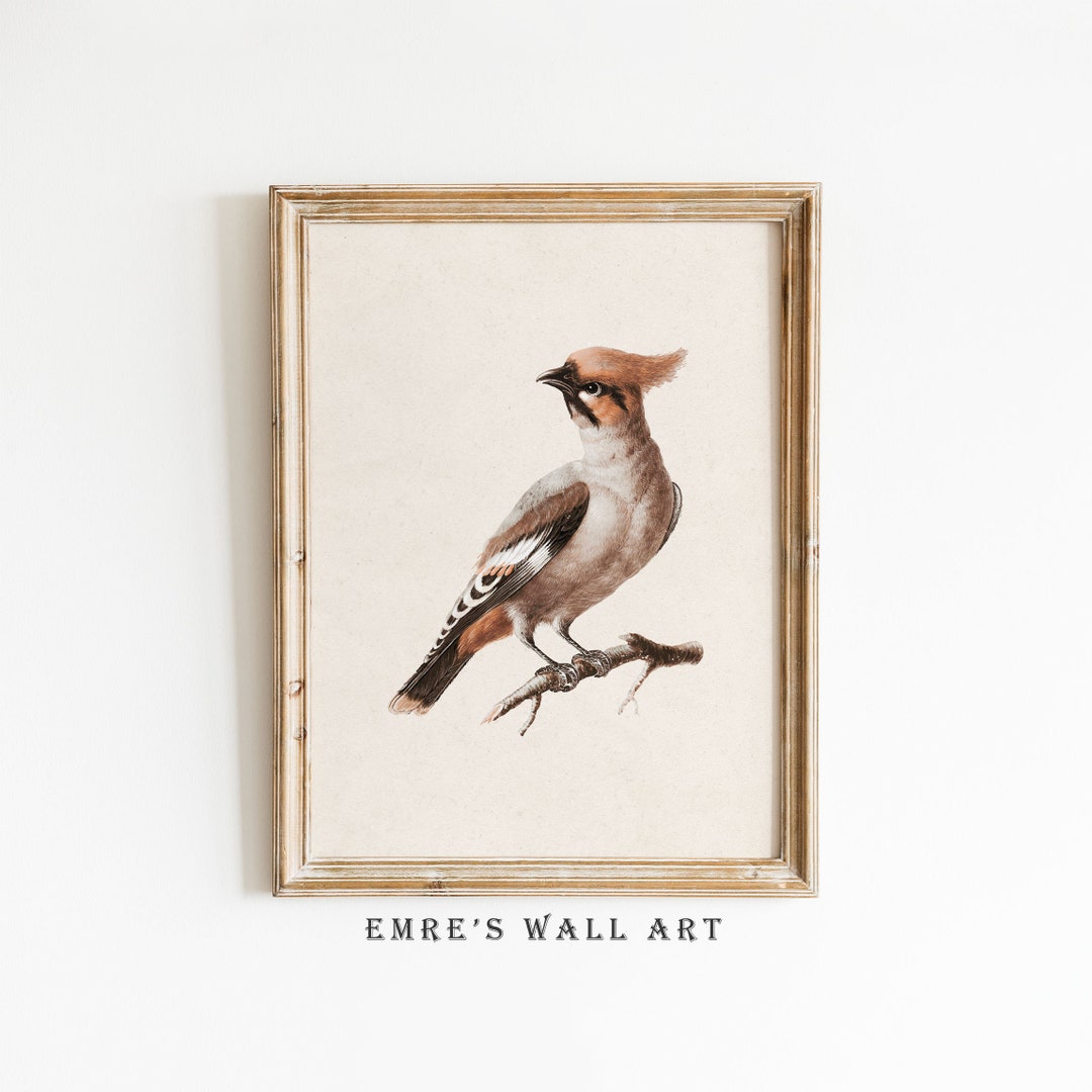 Rustic Bird Art Print: Vintage Farmhouse Decor (digital Printable) - Etsy