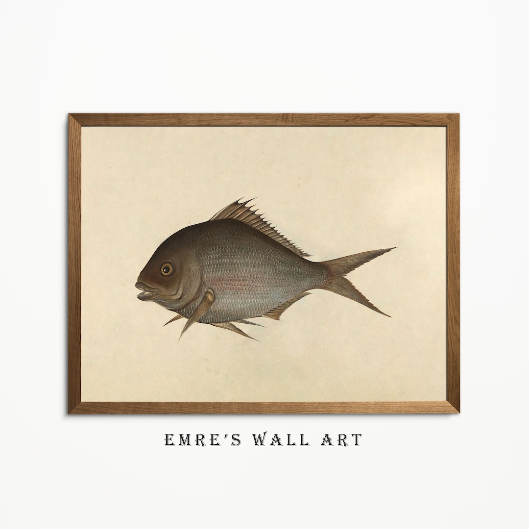 Vintage Fish Drawing Print, Kids Room Fish Wall Art PRINTABLE, Neutral ...