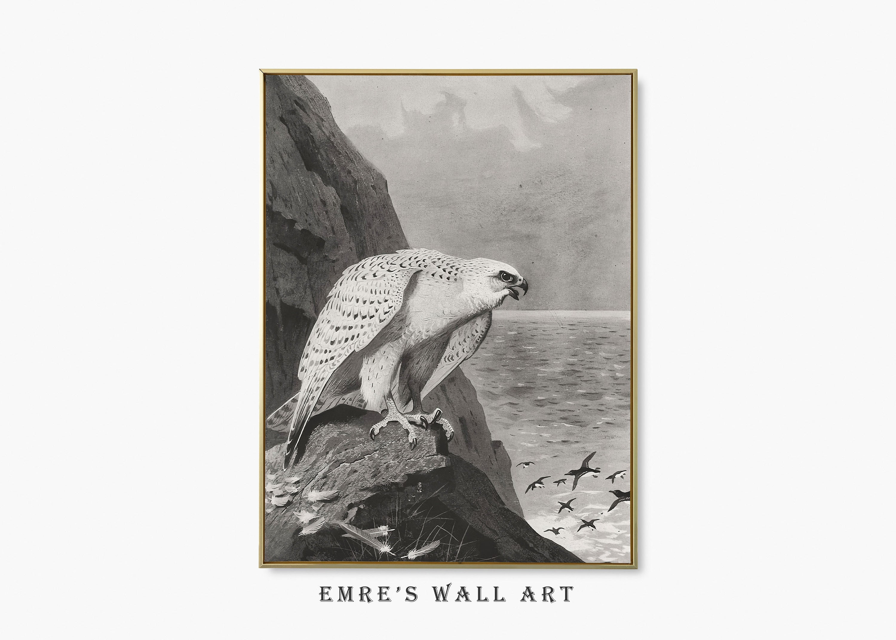 Falcon Art Print Vintage Bird Print Bird Sketch Art Bird - Etsy