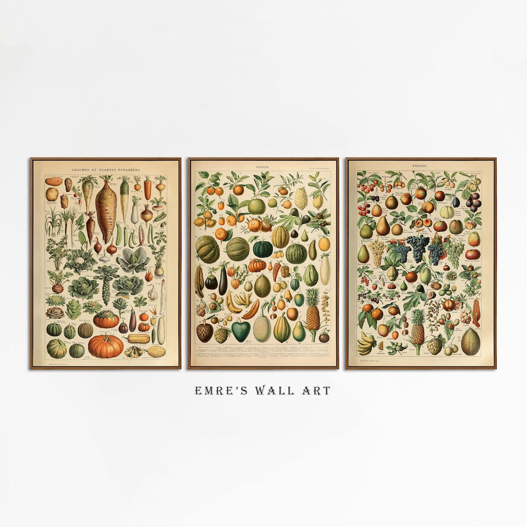 Vintage Fruit and Vegetable Print, Botanical Kitchen Gallery Wall Art ...