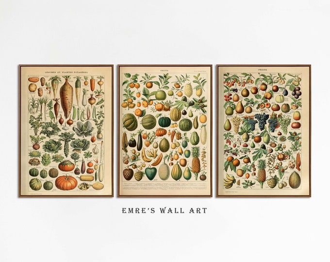 SET OF 12 Retro Vegetable Art Posters - Gallery Wall Set of 12 ...