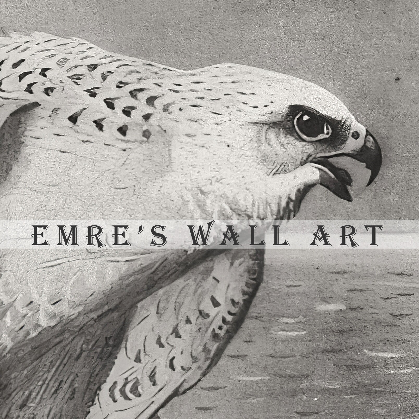 Falcon Art Print Vintage Bird Print Bird Sketch Art Bird - Etsy