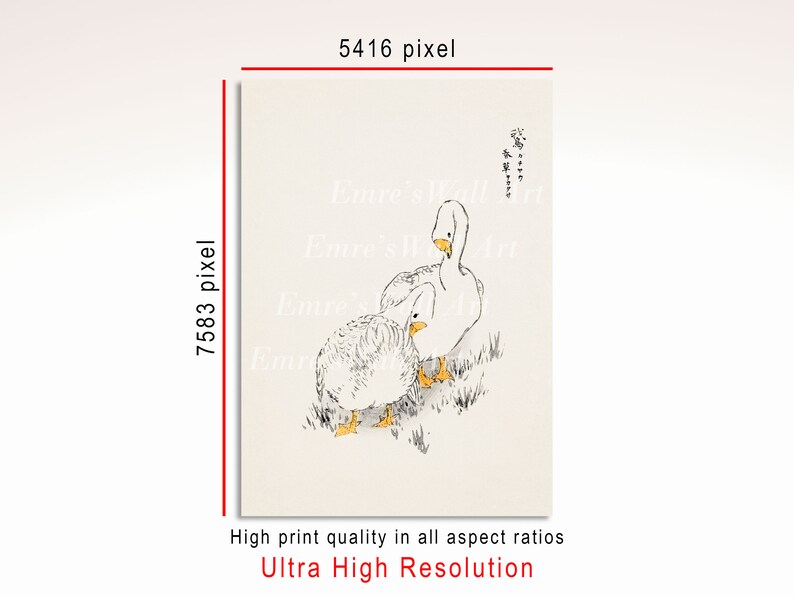 Vintage Duck Sketch Art Print Country Duck Print Neutral - Etsy