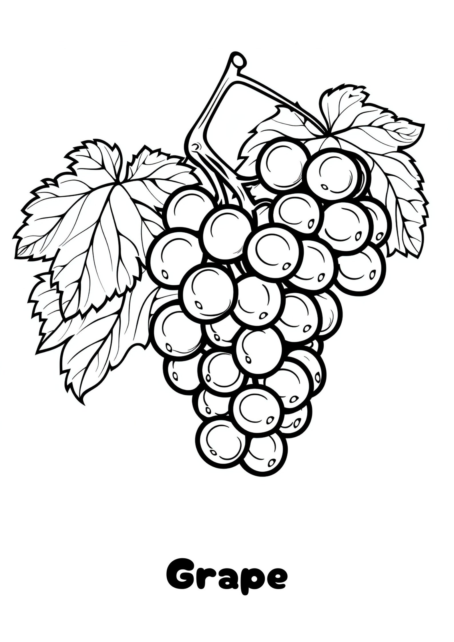 12 Fruit Coloring Pages for Kids, Educational, A4 Format, PDF File ...