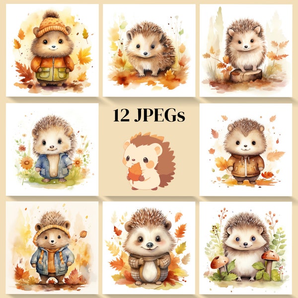 Hedgehog Clip Art - Etsy