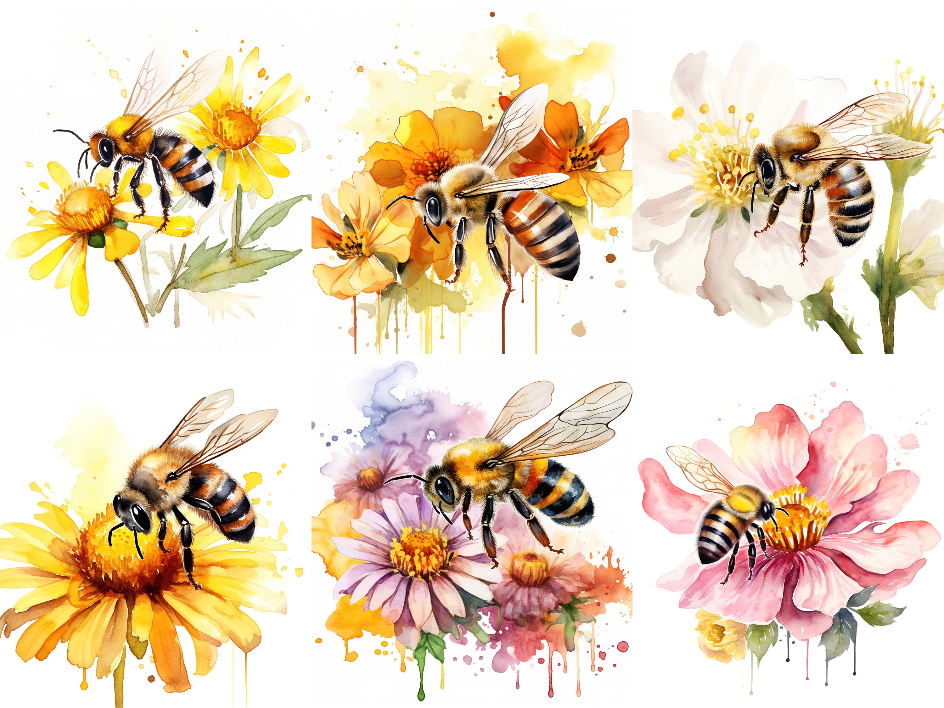 Watercolor Bee on a Flower Clip Art Collection, Set of 12 Jpegs ...