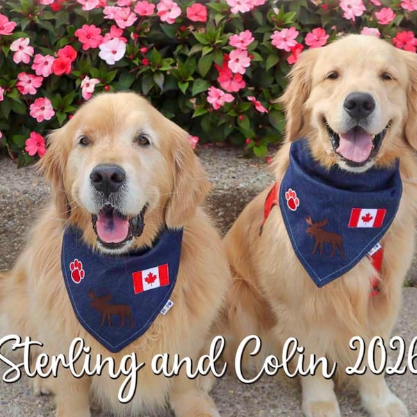 Msufcu 2026 Calendar - Etsy Canada