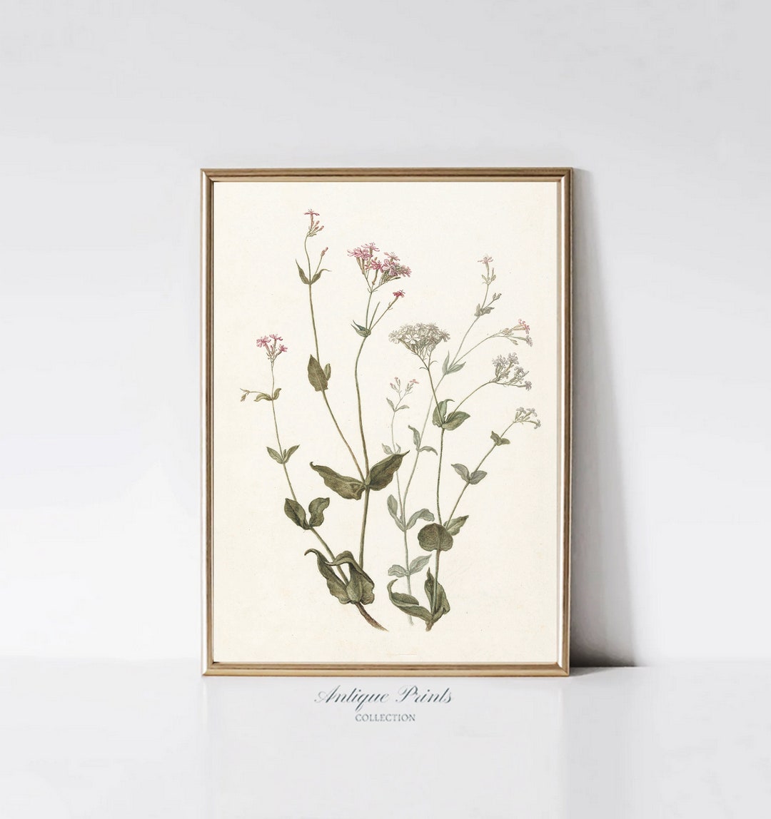 Neutral Botanical Drawing, Vintage Flowers Sketch, Minimalist Floral ...