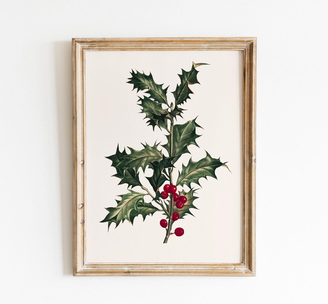 Holly Plant Vintage Wall Art, Christmas Botanical Antique Print ...