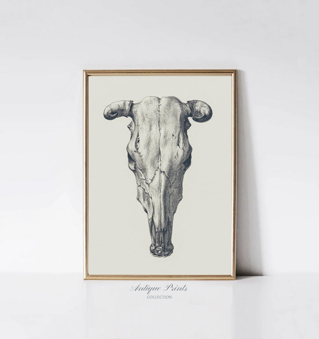 Cow Skull Pencil Drawing, Cow Skull Sketch, Cow Horns Print, Southwest ...