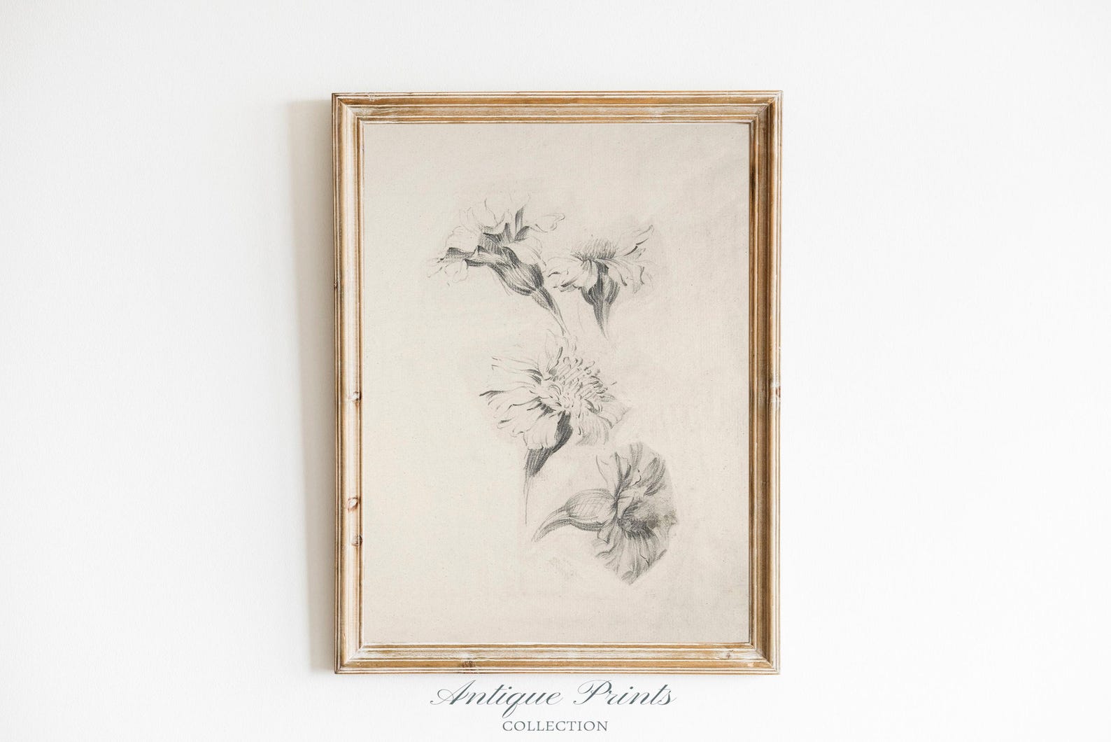 Neutral Botanical Print, Vintage Flowers Sketch, Minimalist Floral ...