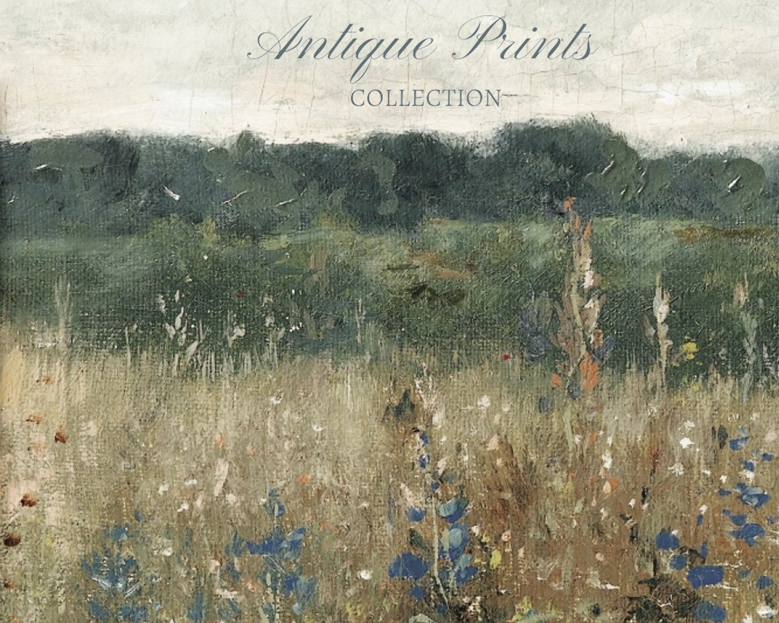 Country 3 Pieces Vintage Wall Art, Wildflower Field Set of 3 Prints ...