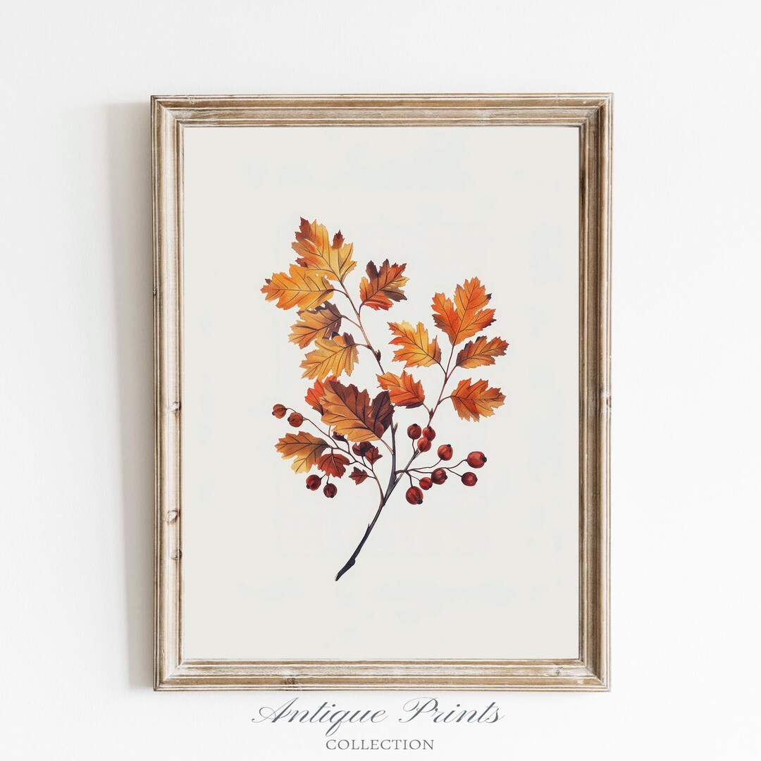 Fall Leaves Vintage Drawing, Minimalist Botanical Wall Art, Autumn ...