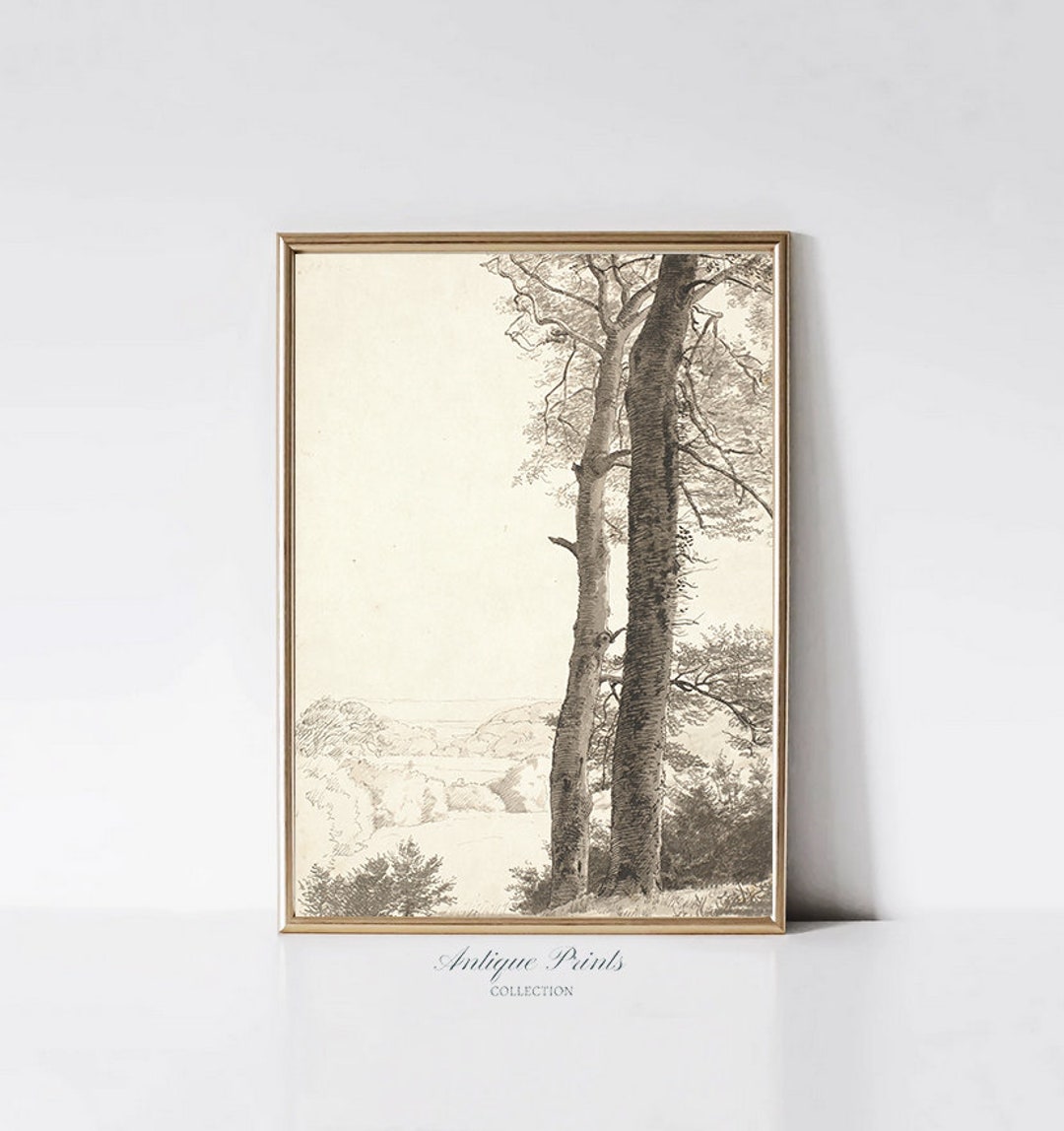 Printable Forest Sketch Art, Vintage Landscape Drawing, Antique Nature ...