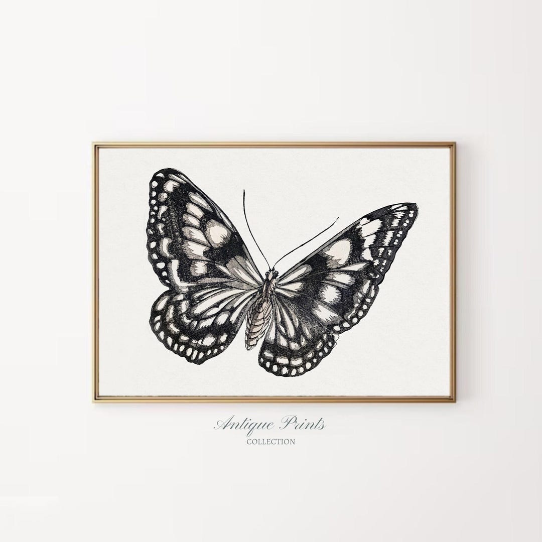 Vintage Butterfly Drawing, Girl Nursery Wall Art, Antique Butterfly ...