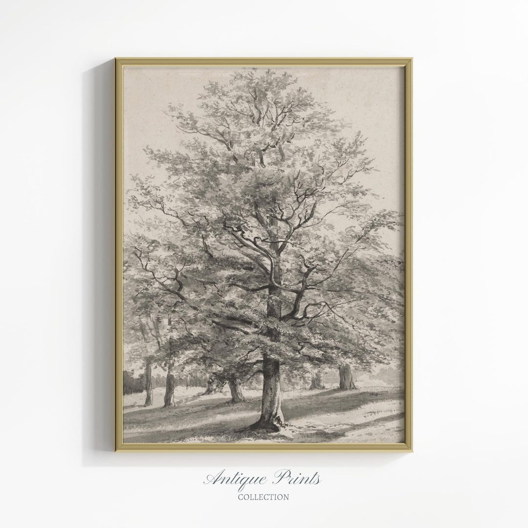 Neutral Antique Pine Tree Drawing, Forest Sketch Art, Vintage Rustic ...