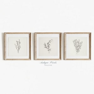 Set of 3 Prints - Etsy