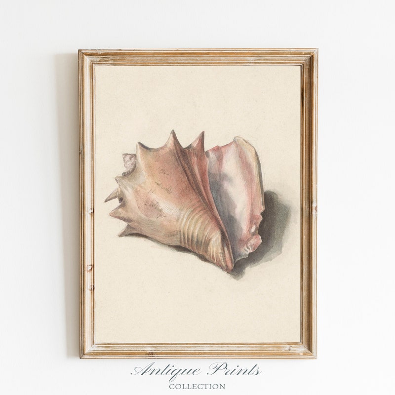 Seashell Painting - Etsy
