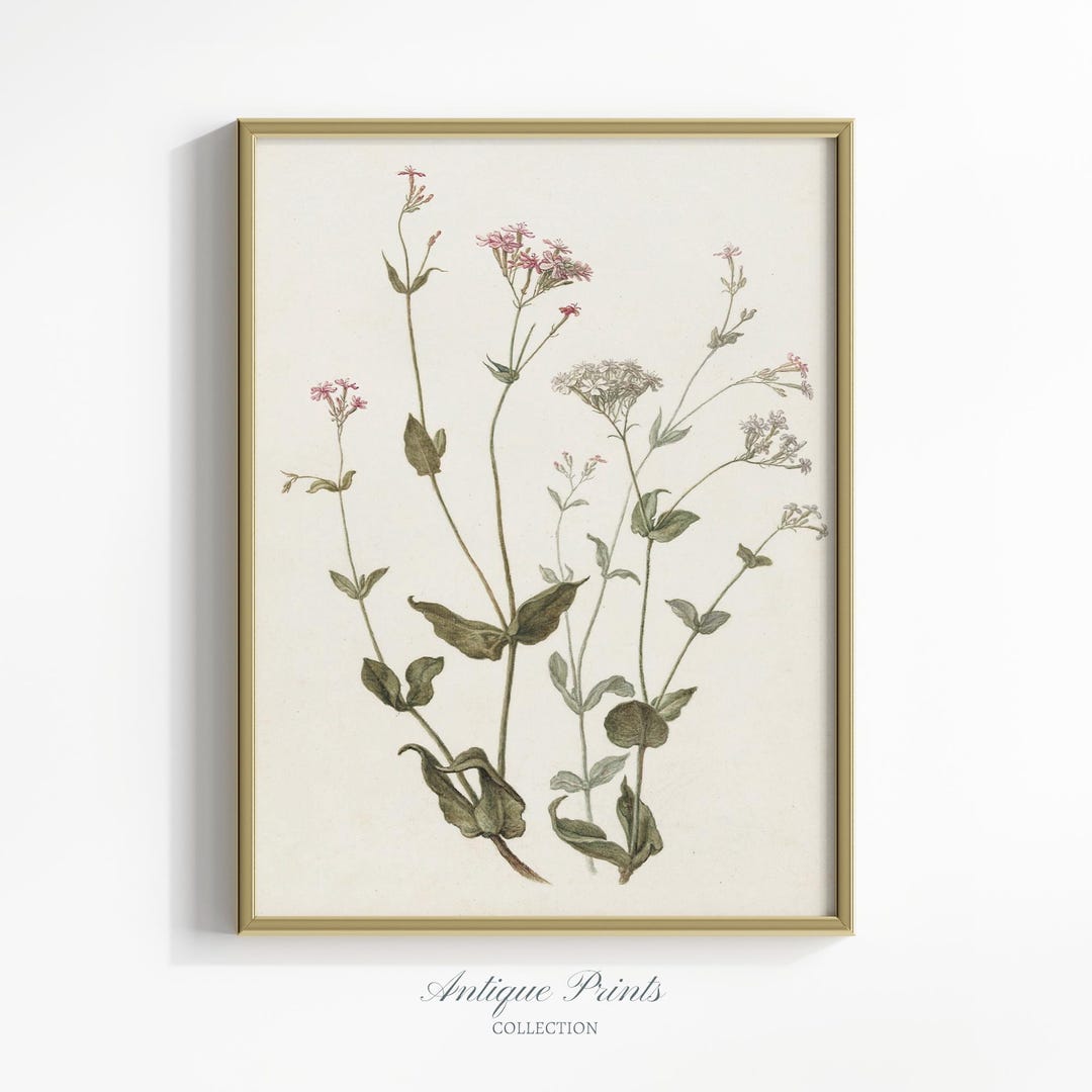 Neutral Botanical Drawing, Vintage Flowers Sketch, Minimalist Floral ...