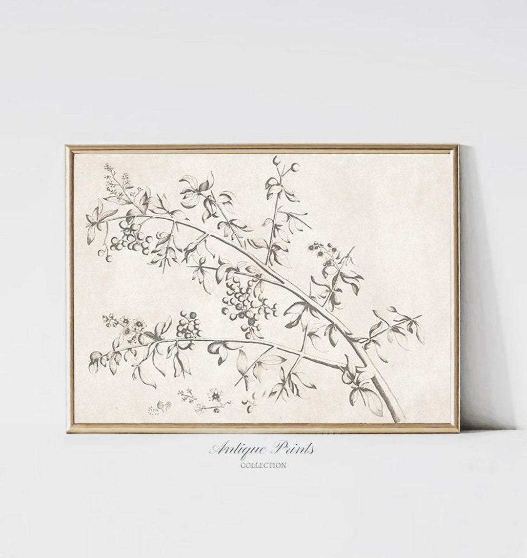 Neutral Branch Sketch Art, Vintage Botanical Print, Horizontal Branch ...