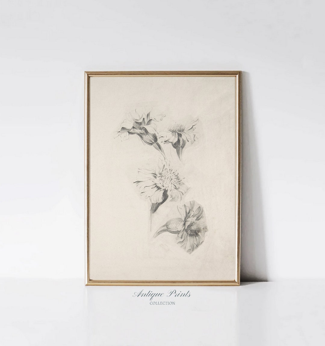 Neutral Botanical Print, Vintage Flowers Sketch, Minimalist Floral ...