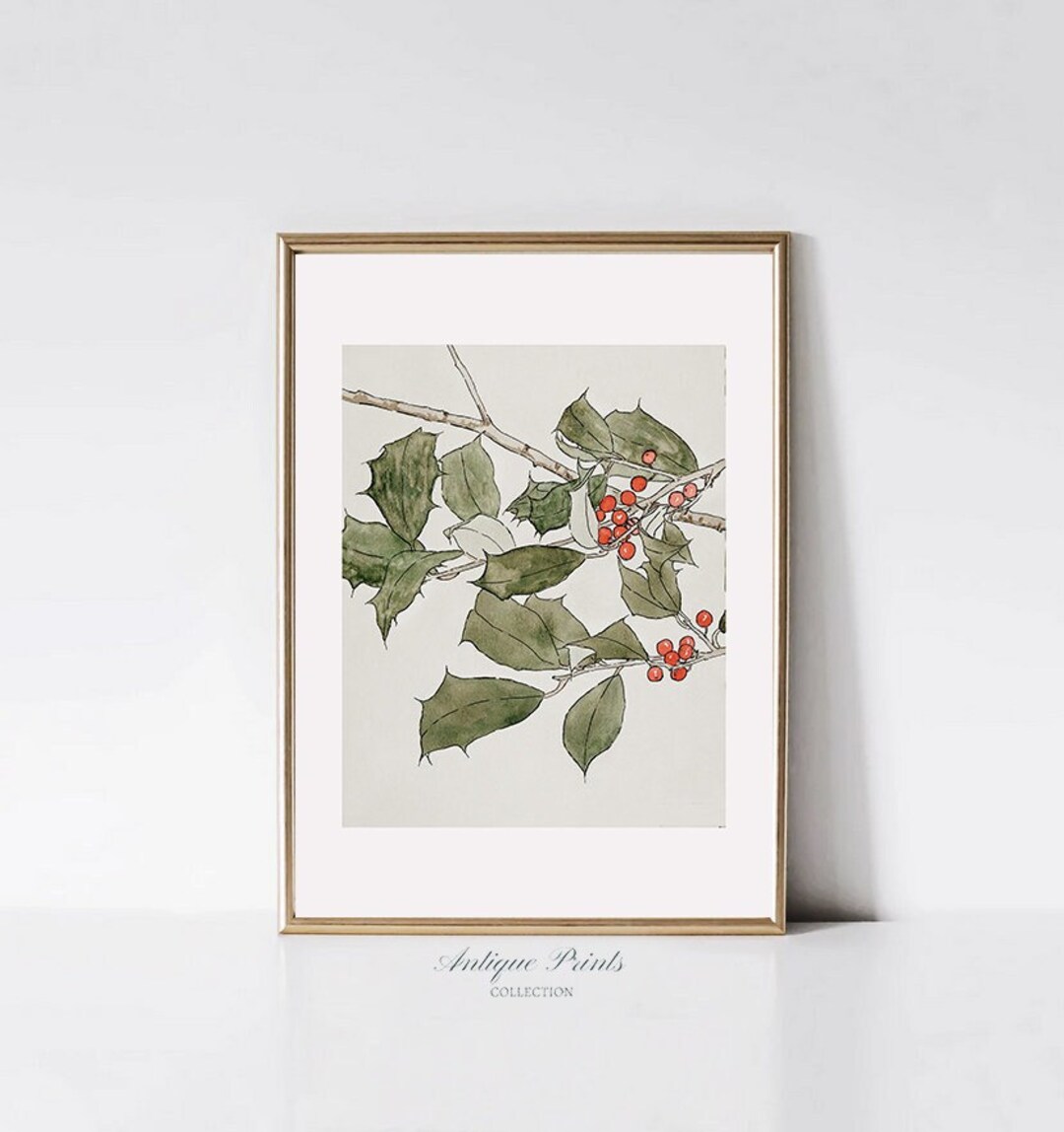 Holly Plant Vintage Sketch Art, Christmas Botanical Antique Print ...