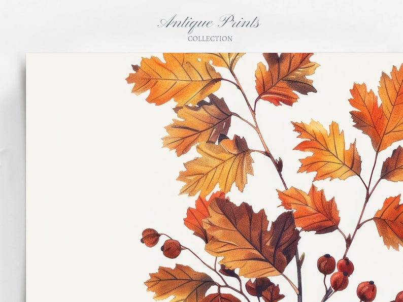 Fall Leaves Vintage Drawing, Minimalist Botanical Wall Art, Autumn ...