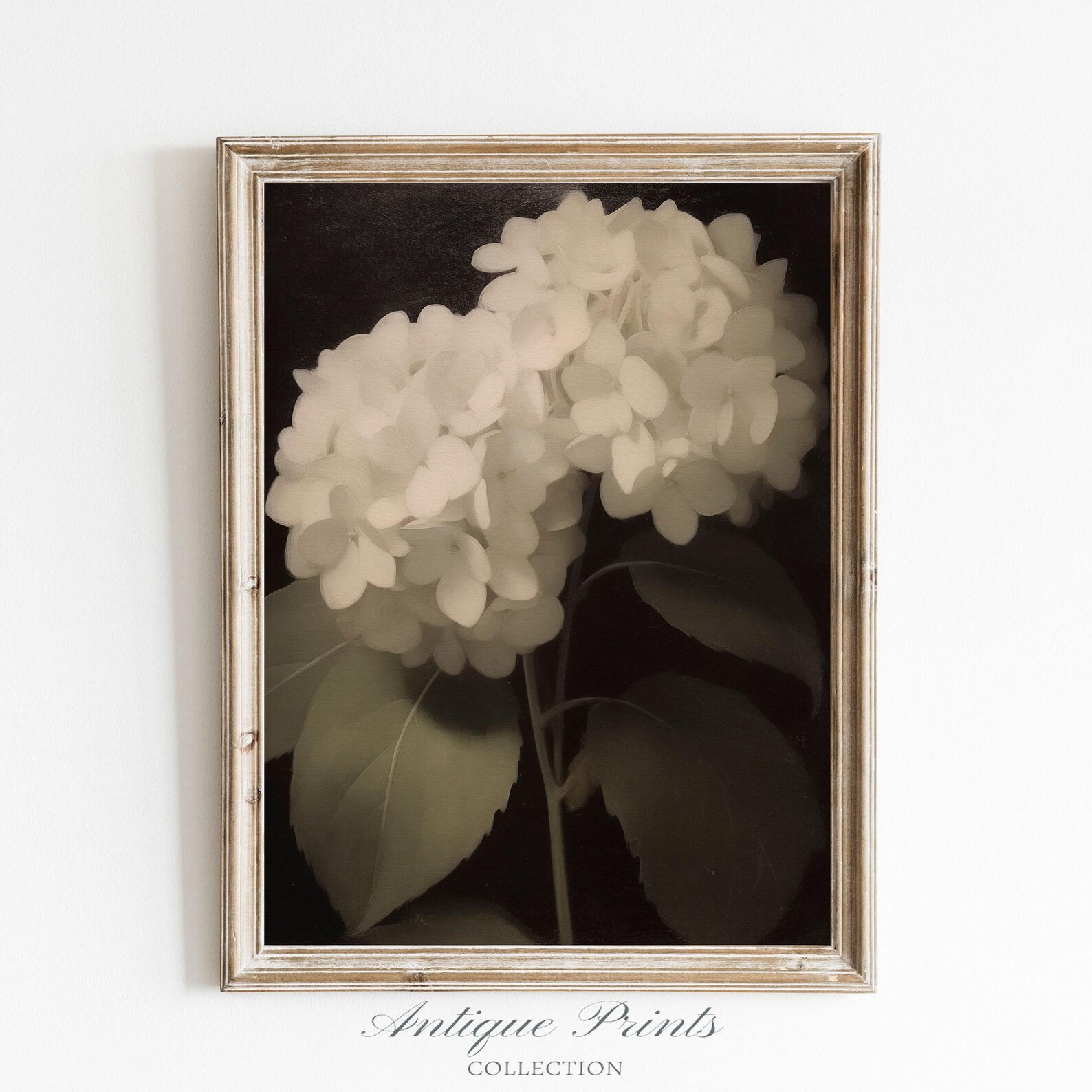 Hydrangea Wall Art, Dark Moody Antique Botanical Art, Printable Vintage ...