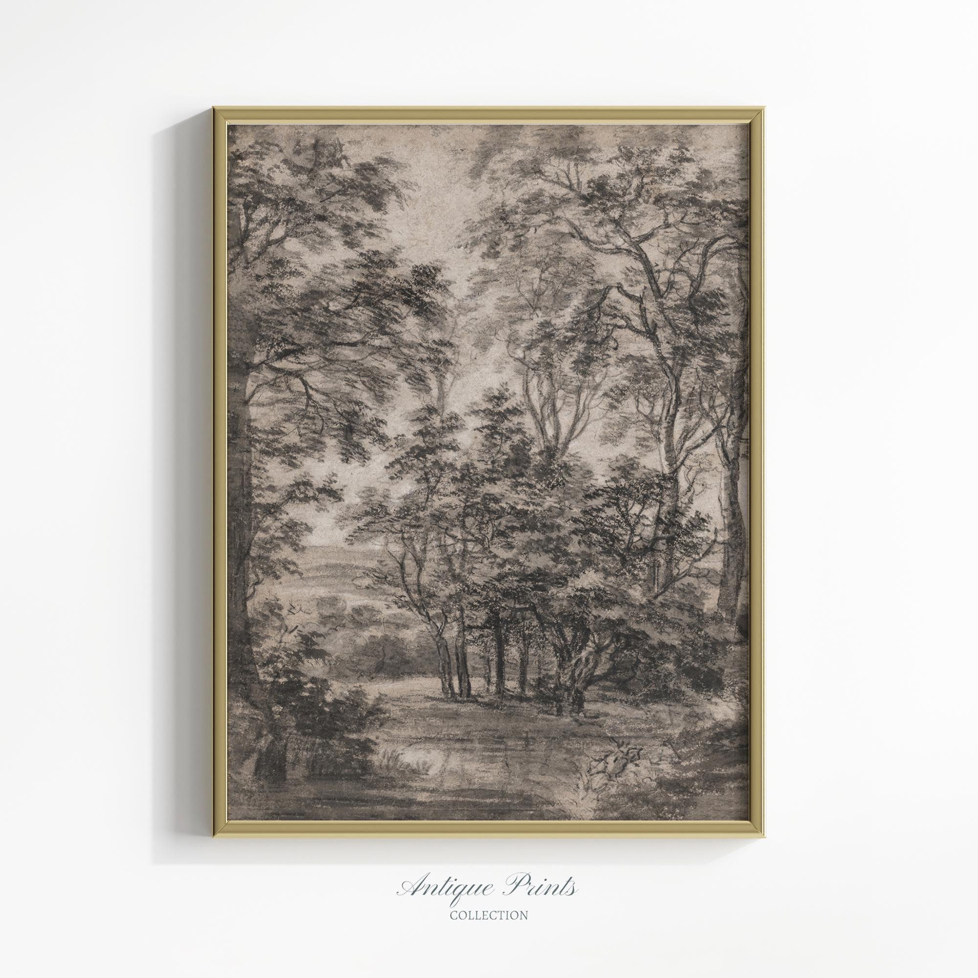 Landscape Sketch Art, Neutral Forest Prints Set of 2, Vintage Rustic ...