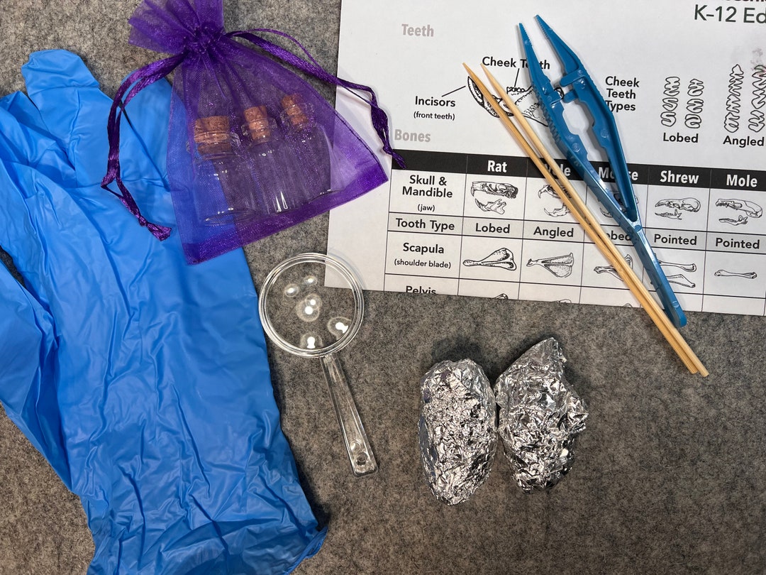 Premium Owl Pellet Dissection Kit Two Pack, Vulture Culture ...