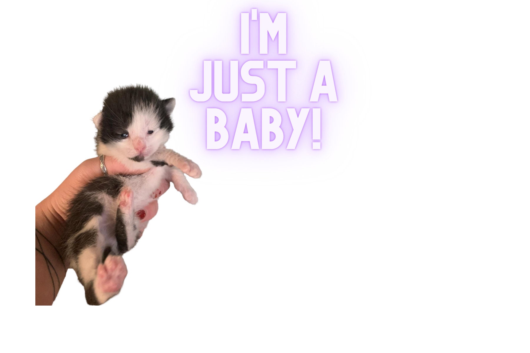 Annabelle I'm Just a Baby - Etsy