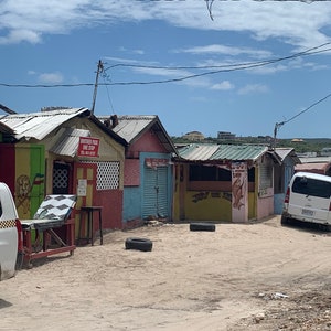 Jamaican Dried Guinea Hen anamu Root 1oz - Etsy