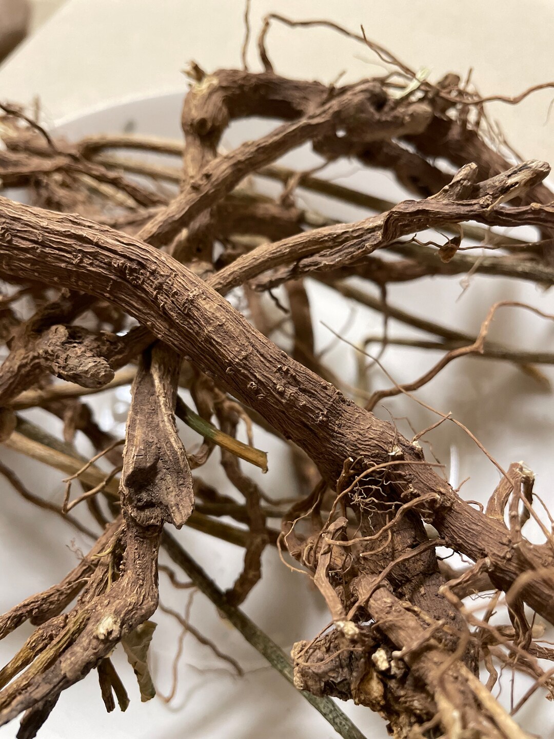 Jamaican Dried Guinea Hen anamu Root 1oz - Etsy