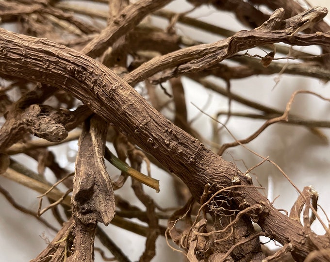 Jamaican Dried Guinea Hen (anamu) Root 1oz - Etsy