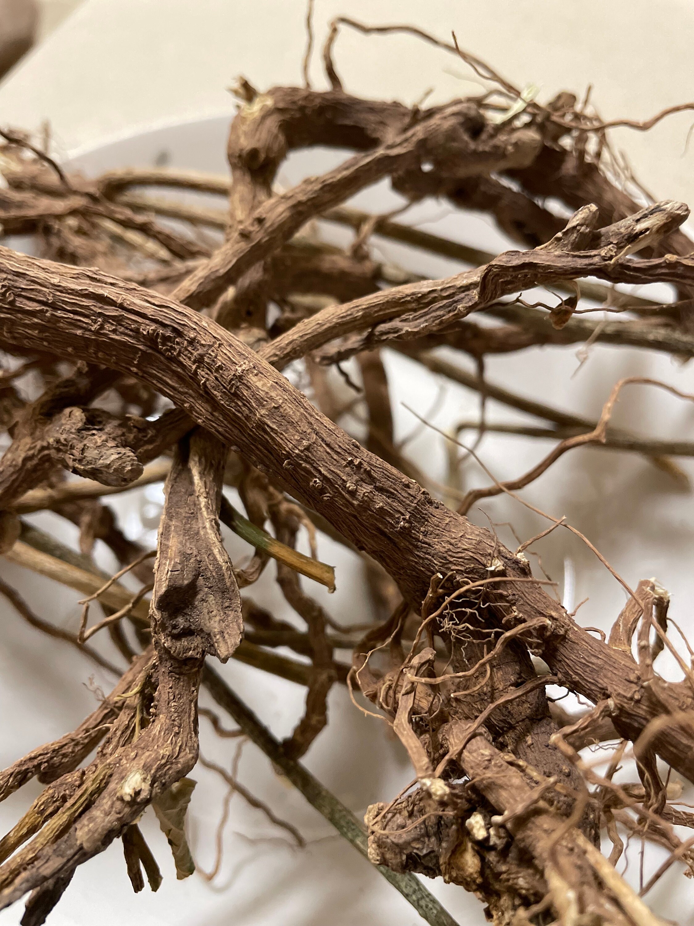 Jamaican Dried Guinea Hen anamu Root 1oz - Etsy