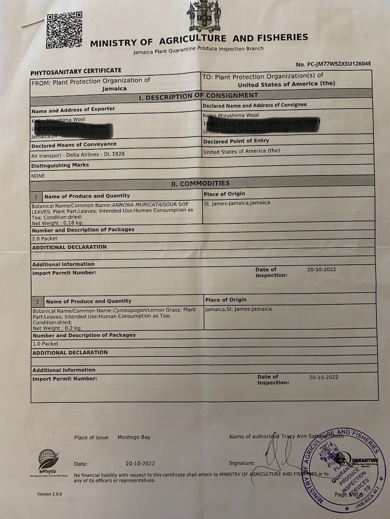 Jamaican Dried Guinea Hen anamu Root 1oz - Etsy