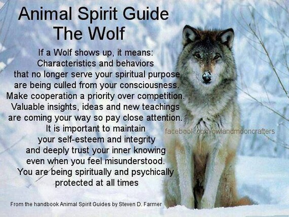 White Wolf Spirit Guide