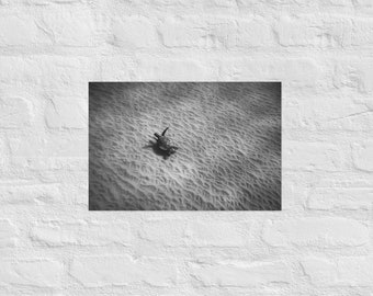 Turtle of Tolerance for Kids Poster - Etsy UK