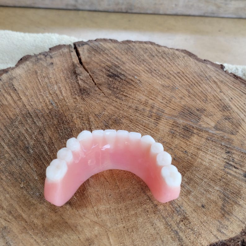 Denture Lower - Etsy