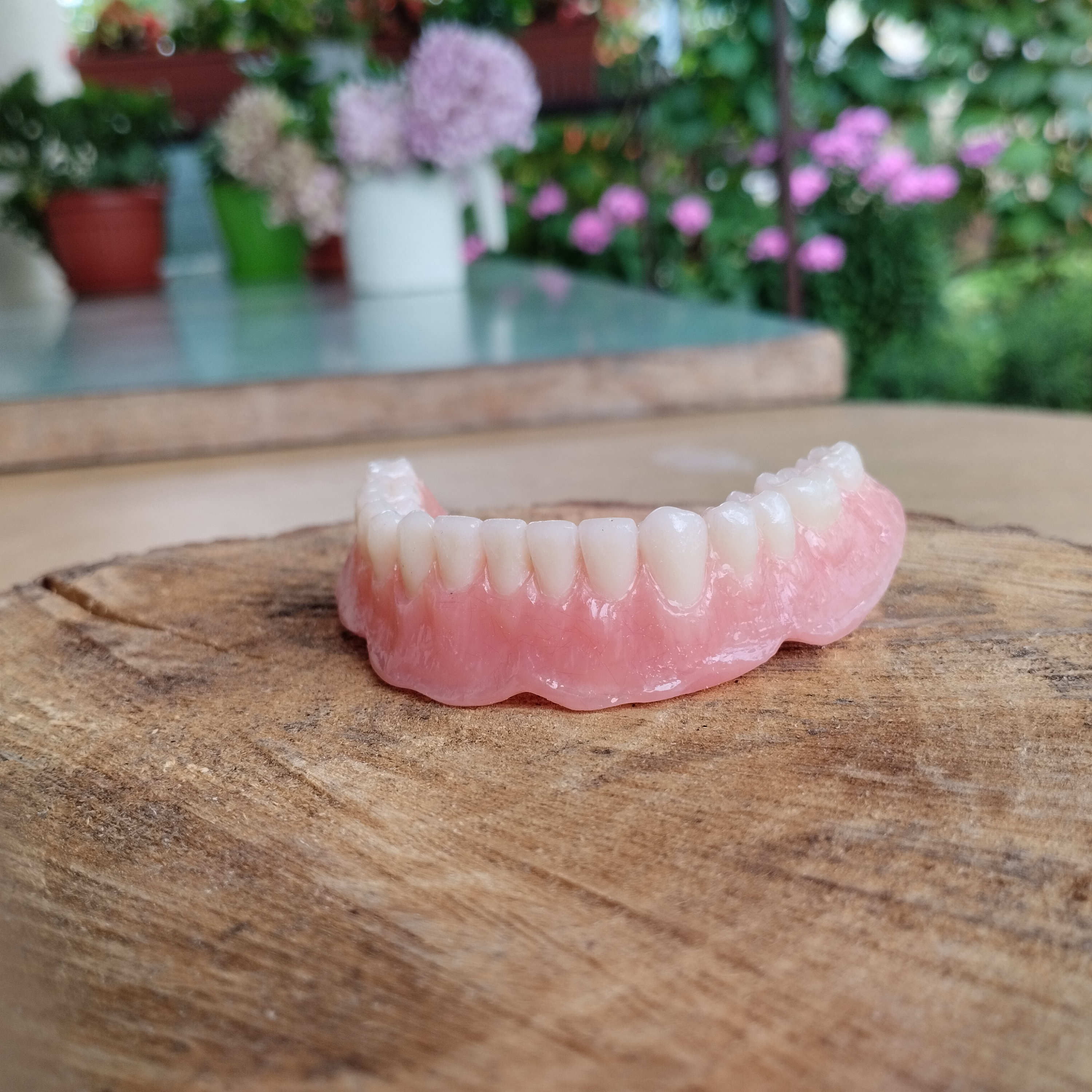 Denture Lower Brand New - Etsy