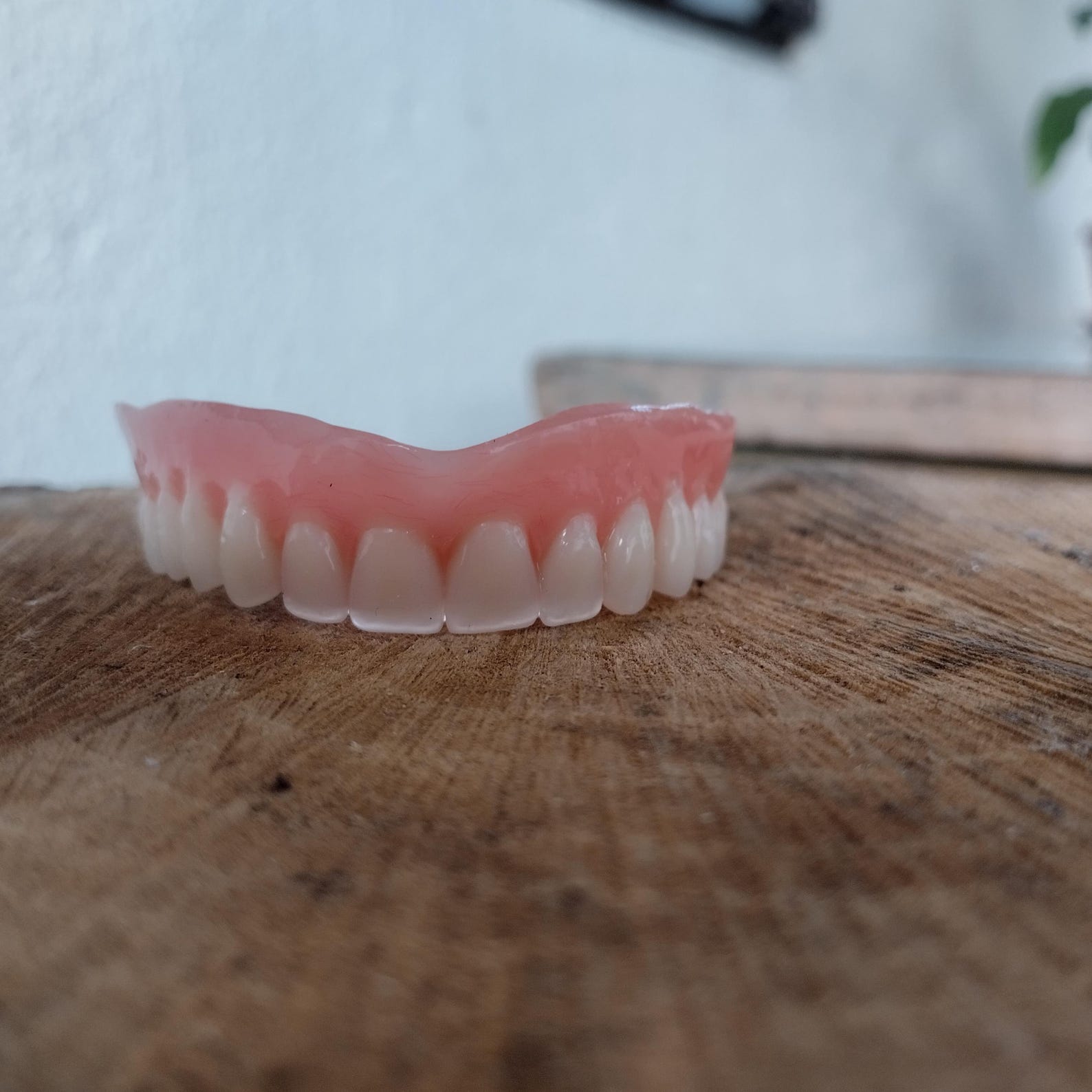 Horseshoe Denture Upper - Etsy UK