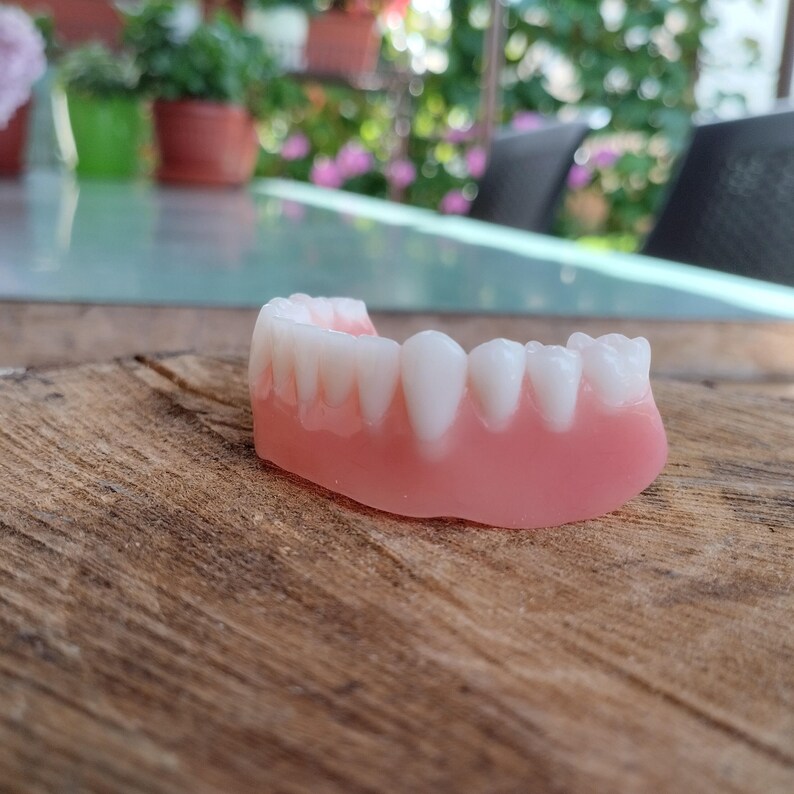 Denture Lower - Etsy