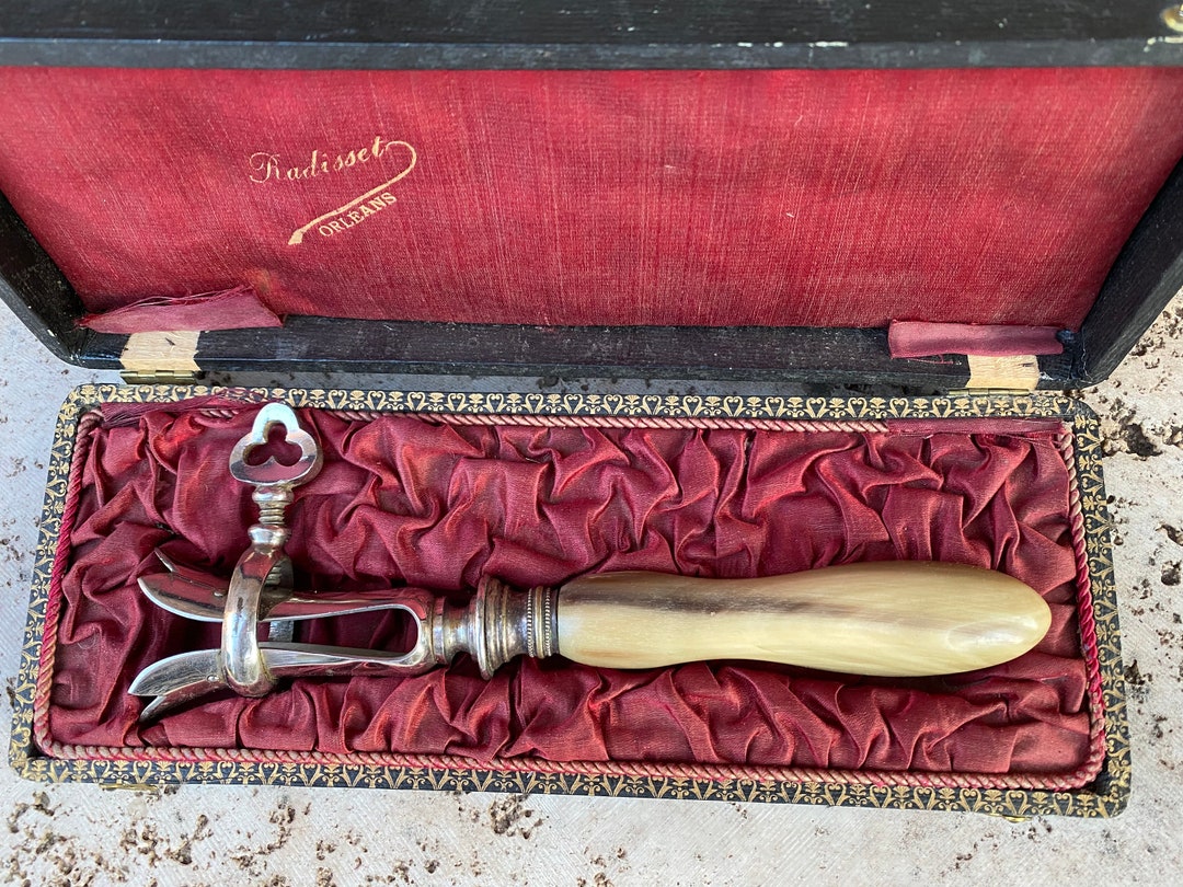 Vintage French Chicken Thigh Tool Very Rare Dining Utensil Horn Handle ...