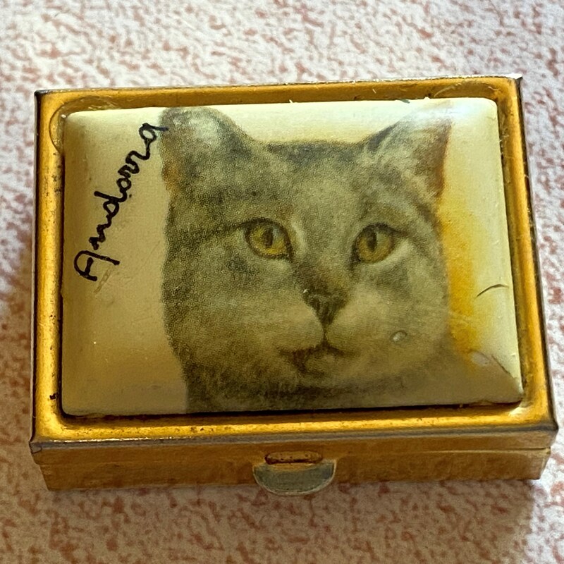 Cat Pill Box - Etsy
