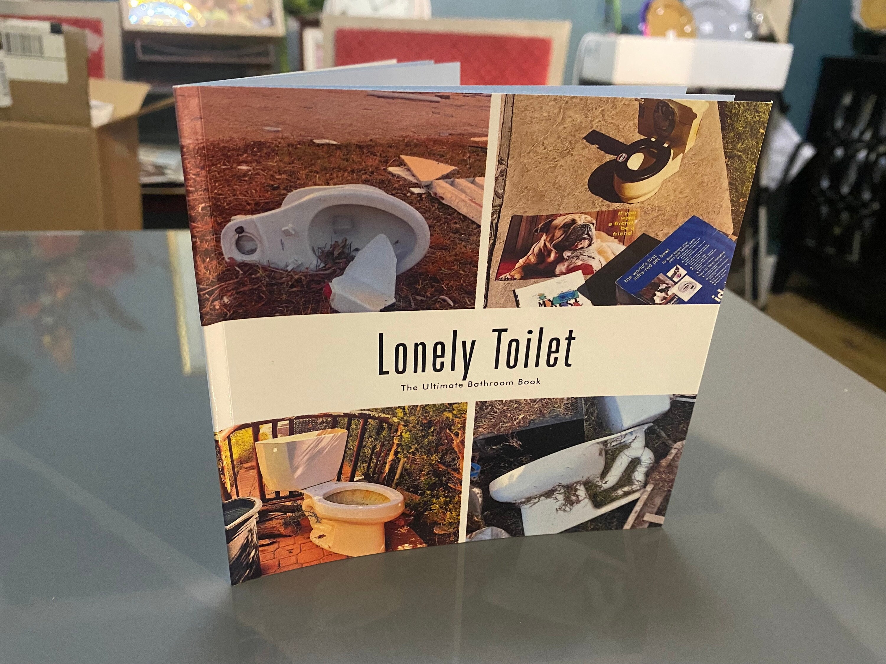 Lonely Toilet - A Toilet Photography Book - the Ultimate Bathroom ...