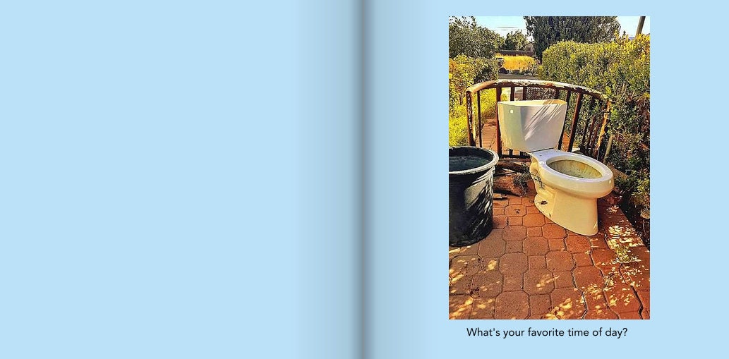 Lonely Toilet - A Toilet Photography Book - the Ultimate Bathroom ...