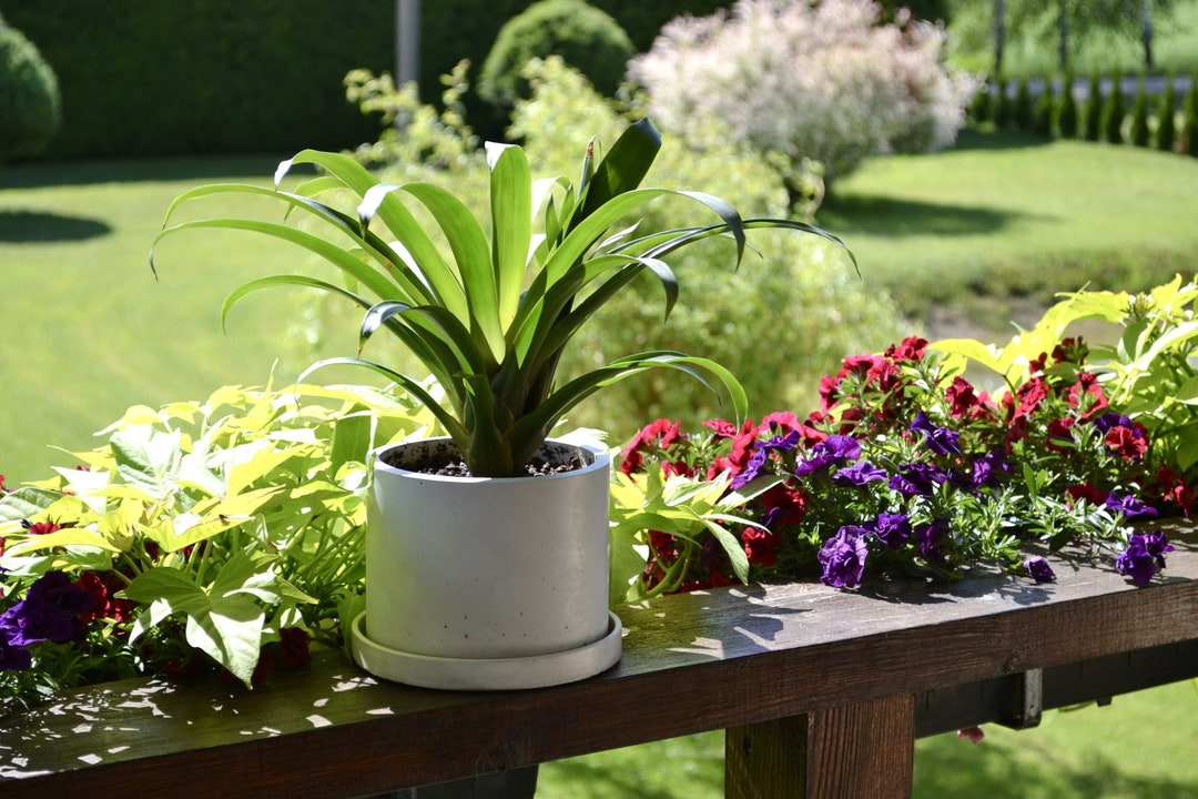 Concrete Plant Pot With Drainage Hole, Large Cement Planter With Saucer ...