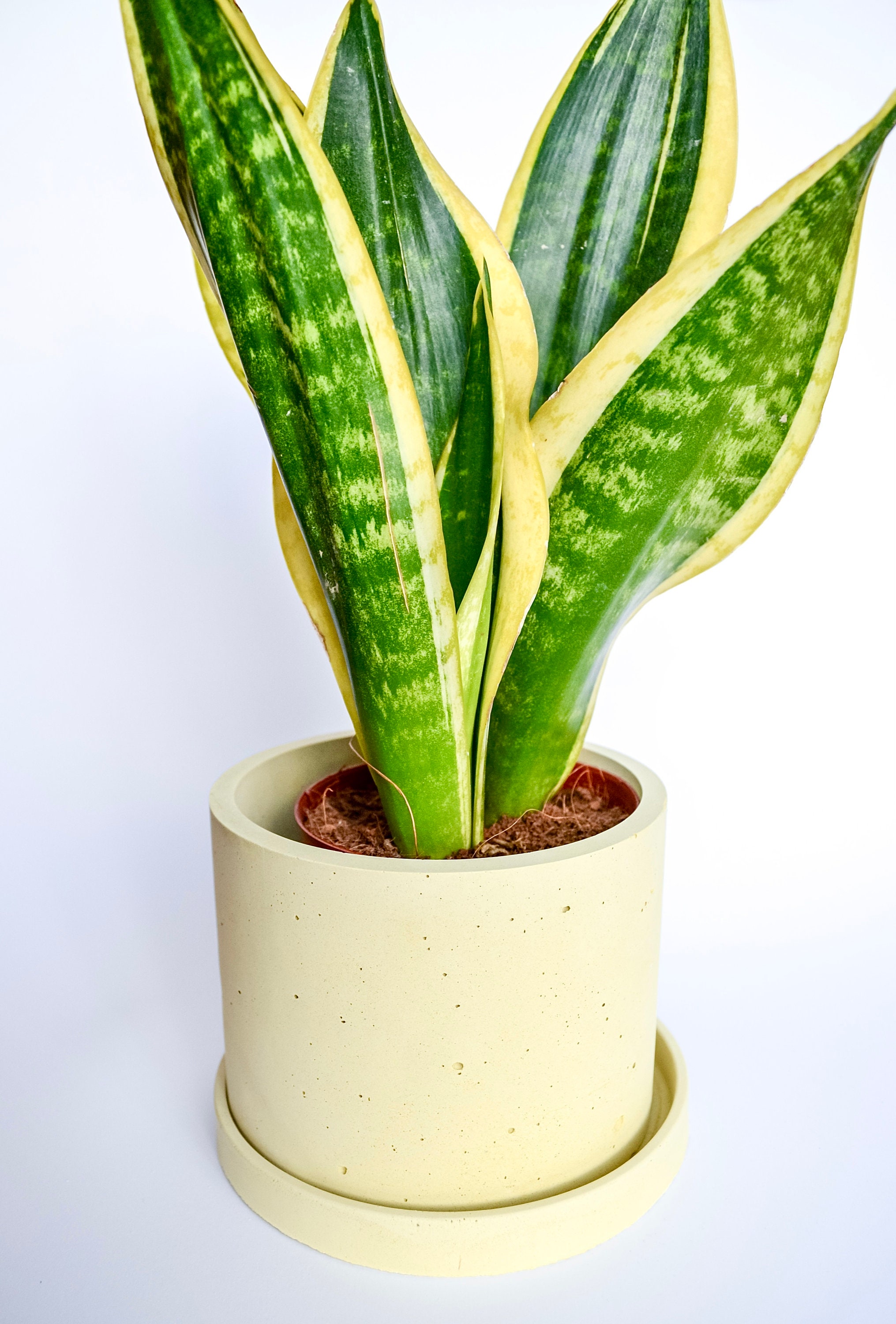 Concrete Plant Pot With Drainage Hole, Large Cement Planter With Saucer ...