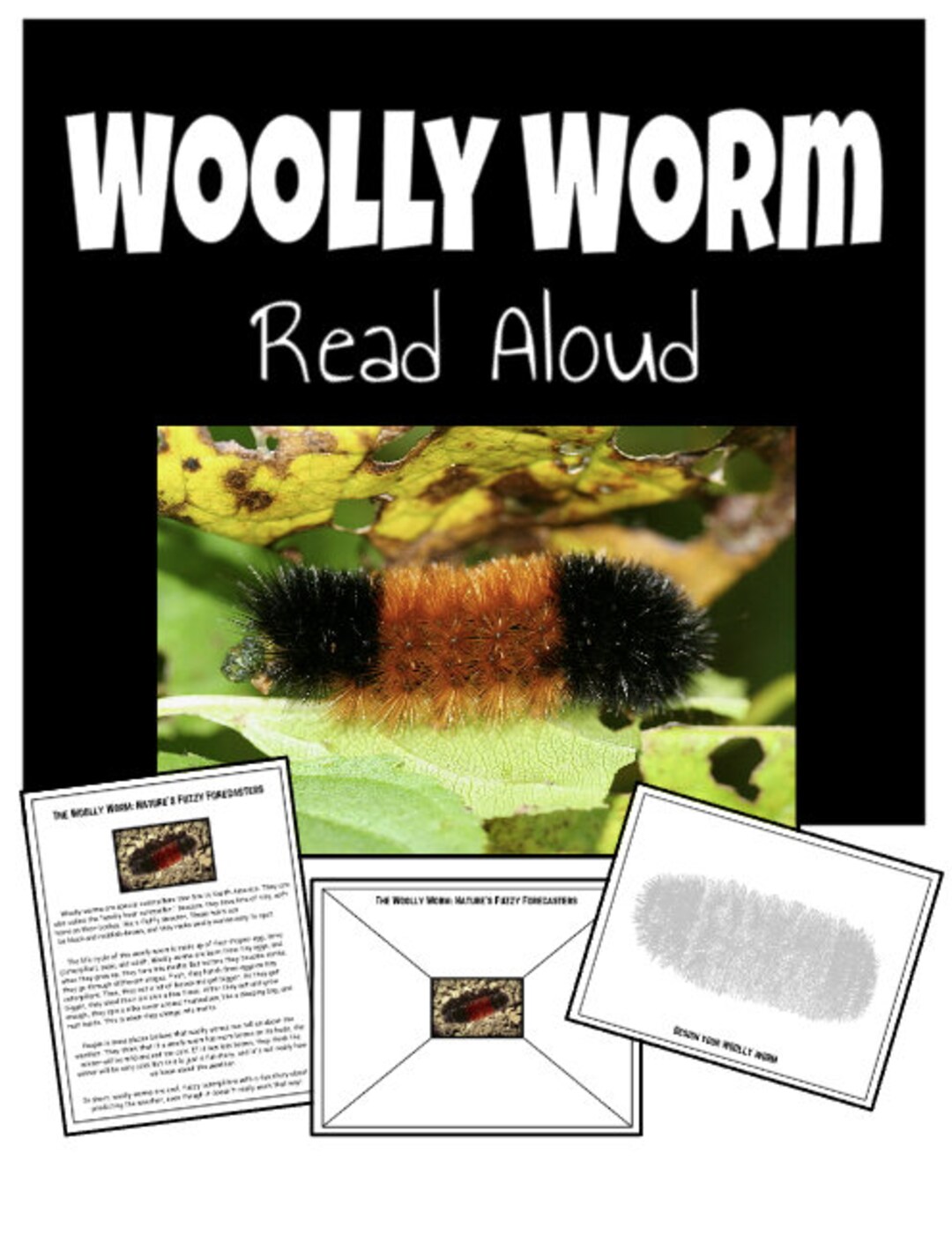Woolly Worm Read Aloud - Etsy