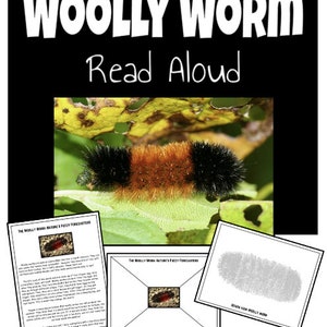 Woolly Worm Read Aloud - Etsy